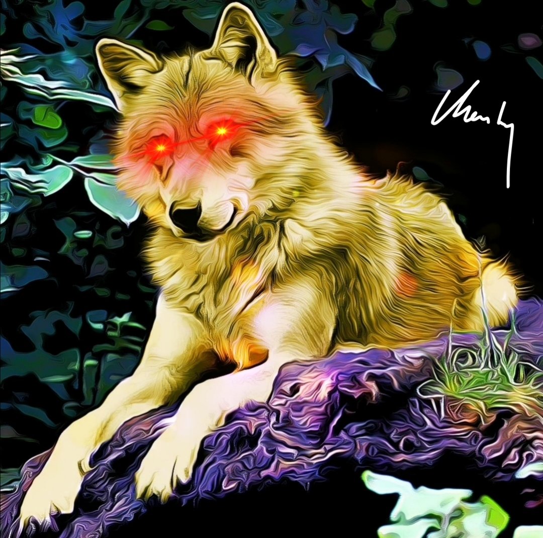 ColorfulWorld by MonetaryGrid Collection | NFT.io