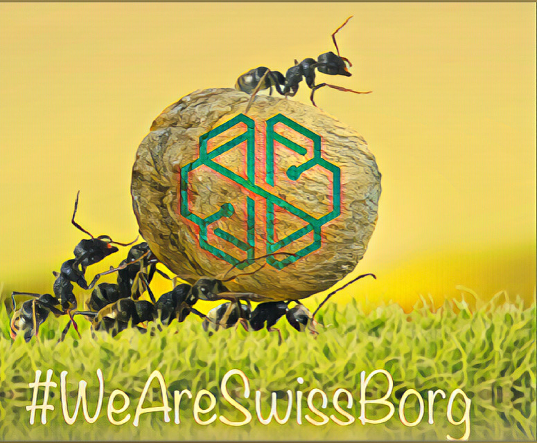 SwissBorg Ants Teamwork Collection | NFT.io