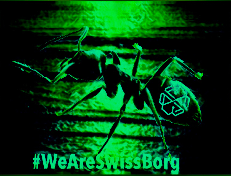 SwissBorg Ants Collection | NFT.io