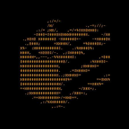 The Cake Collection | NFT.io